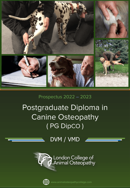 Equine Pathology & Diseases