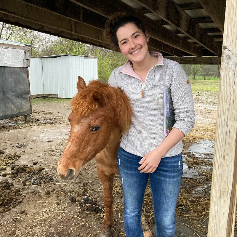 Canine Clinical Assessment