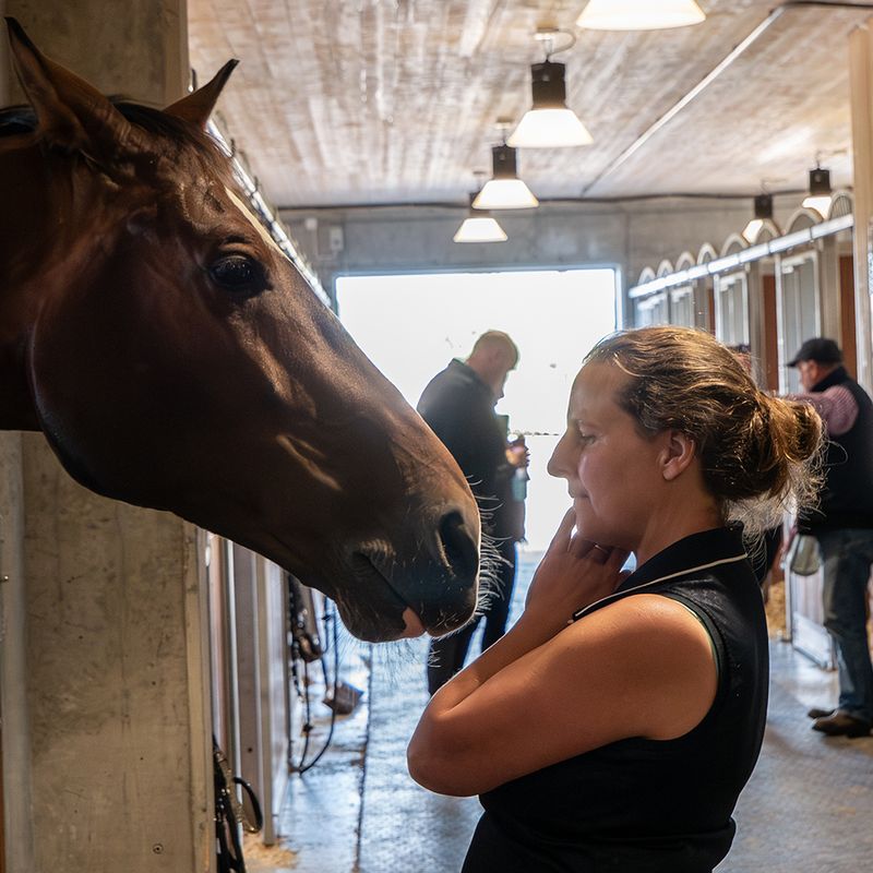 Canine Clinical Assessment