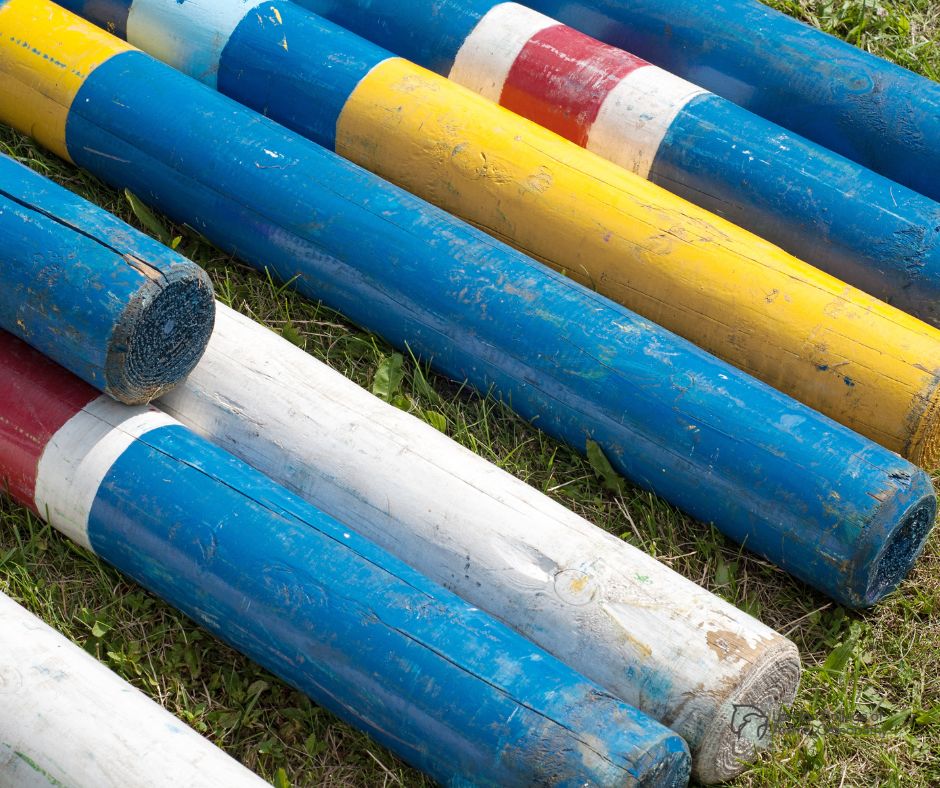 Pole Work For Equine Rehab: Part 1