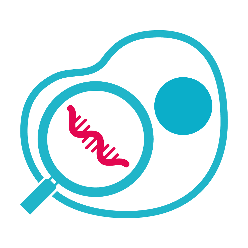 Single Cell Sequencing | Services | Macrogen Europe