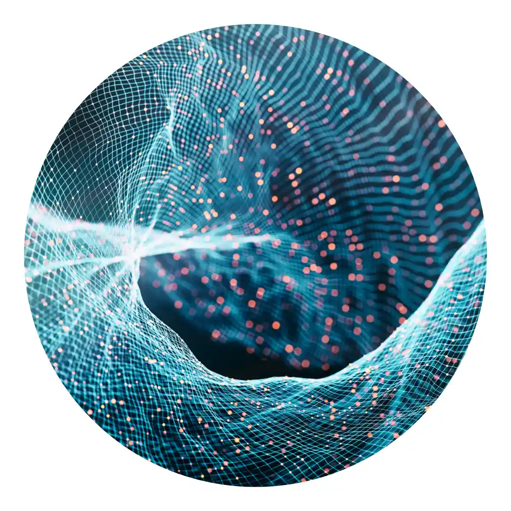 Law Enforcement Investigation Services - CCL Solutions