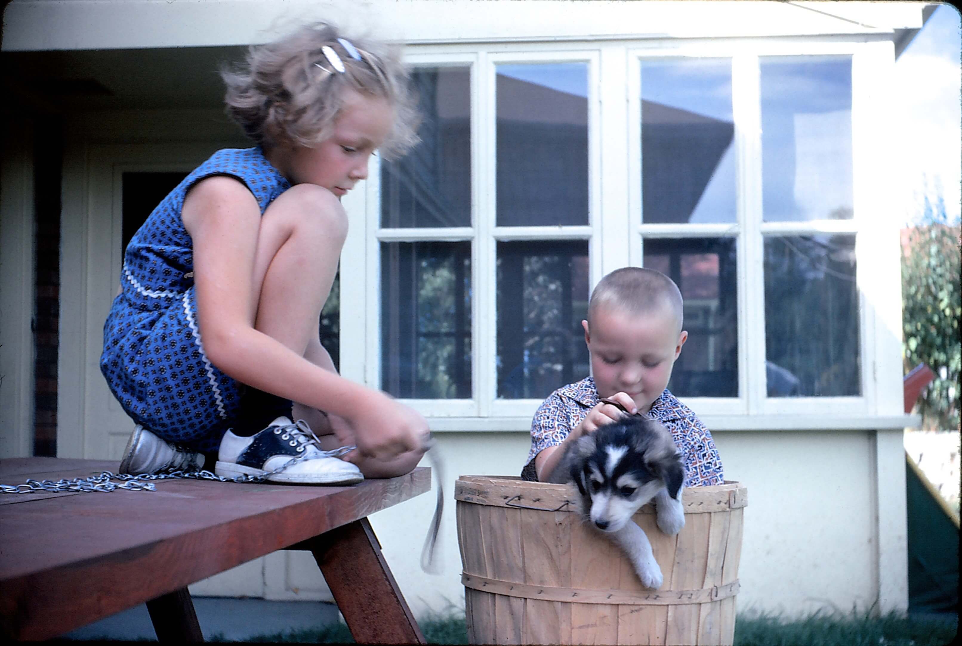 La Piccioletta Barca | The Puppy in the Basket in the Picture - by Paul ...