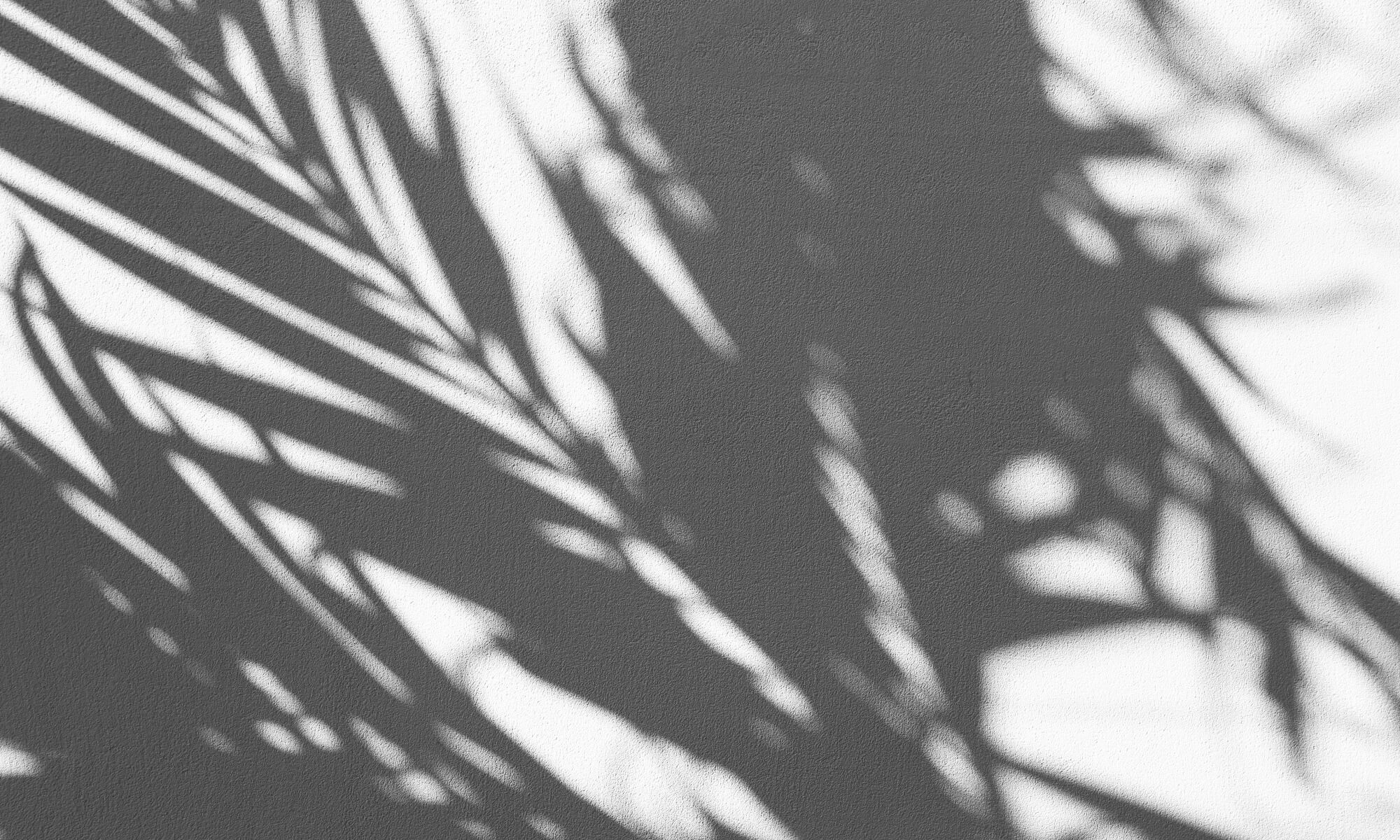 La Piccioletta Barca | The Elements - by Kip Knott