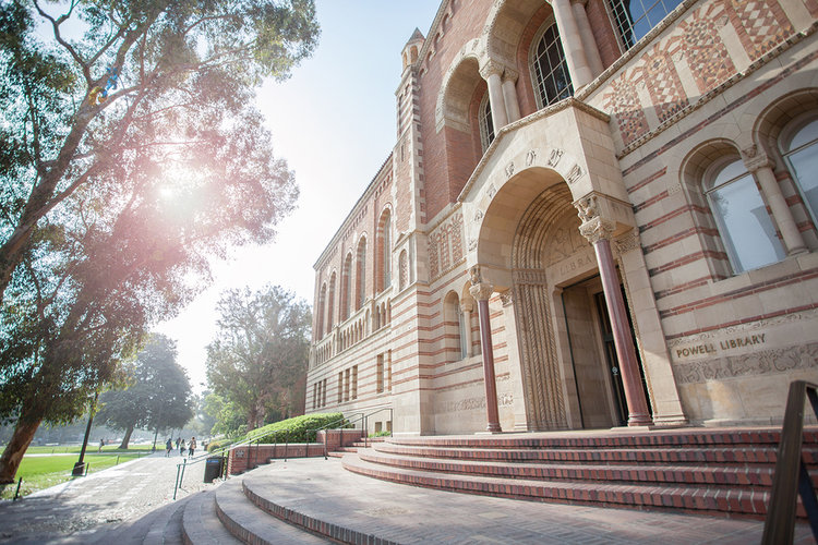 A Simple Pre-Med Resume Guide and Example