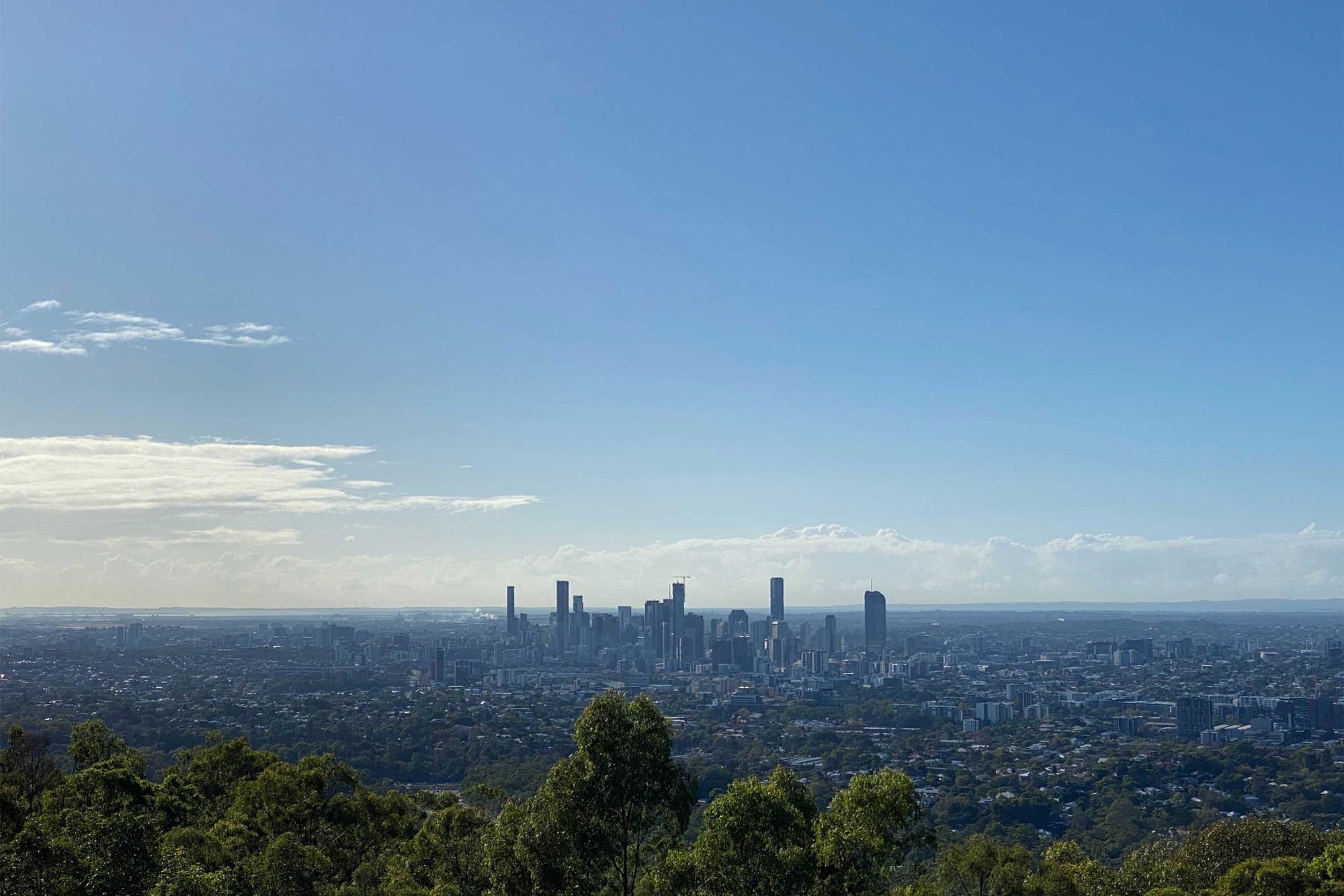 Mt Coot-Tha Forest Park Vegetation and Weed Mapping