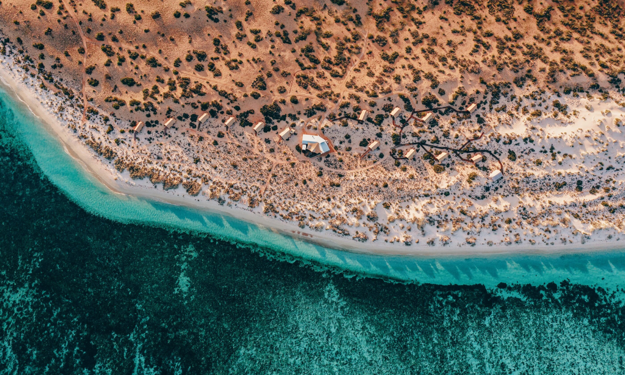 Discover the pristine Ningaloo Reef in 2024 | Apex Travel