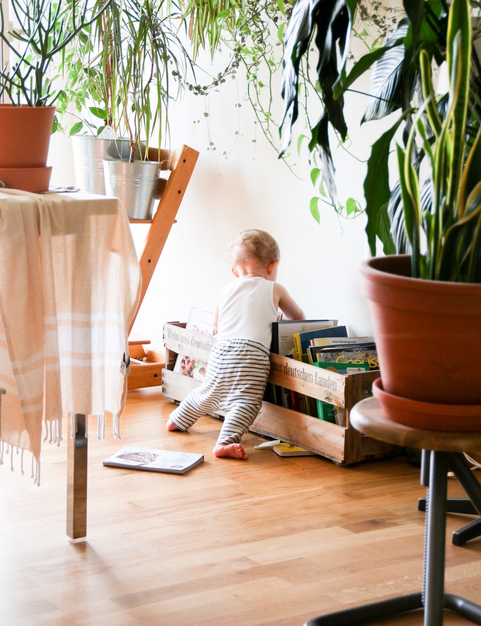 Exchange Club Family Support Center Programs