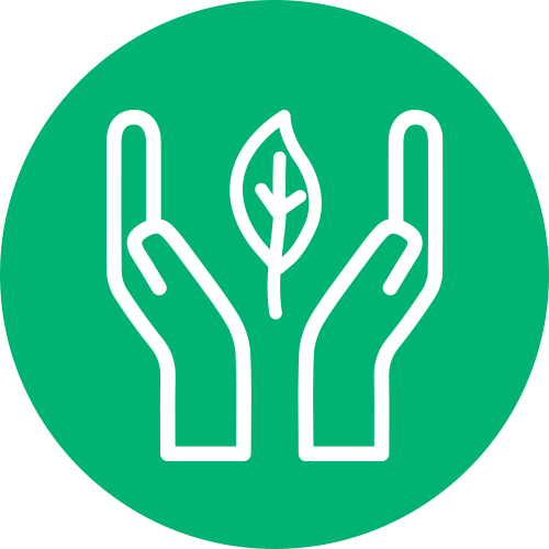 Good Energy Collective I Home