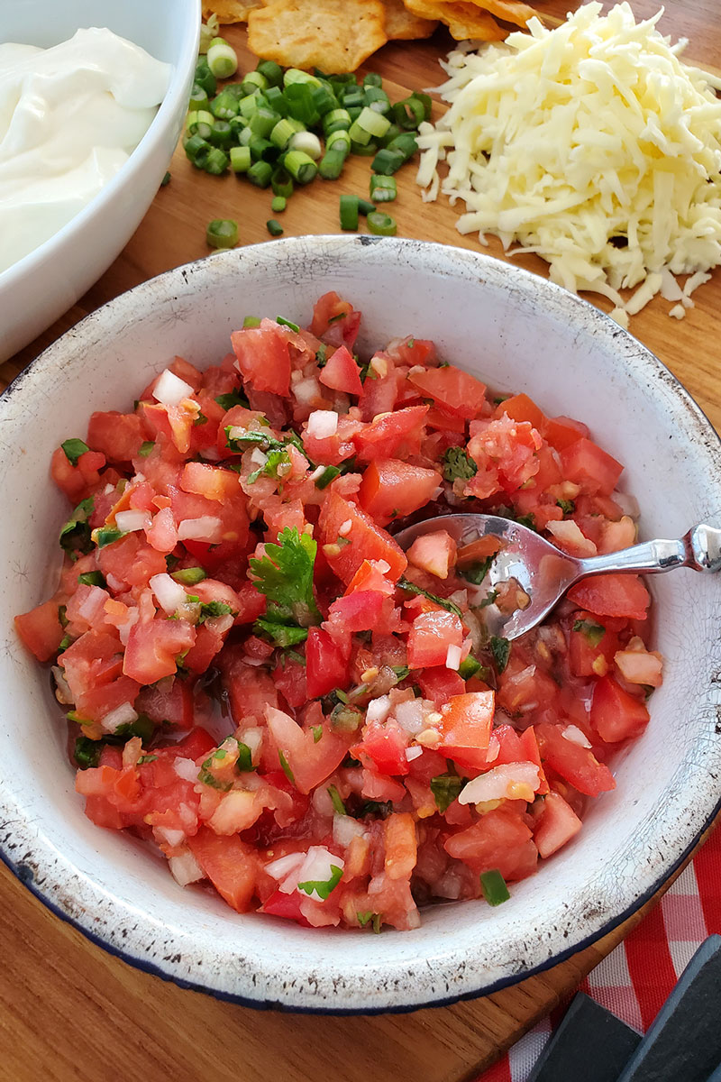 Cookbook - Fresh Salsa Made Easy