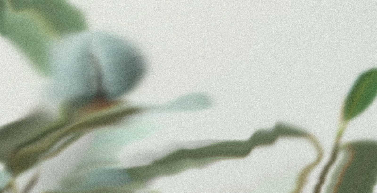 Unlocking Revenue & Sustainability: Treet's Resale Solution for Brands ...