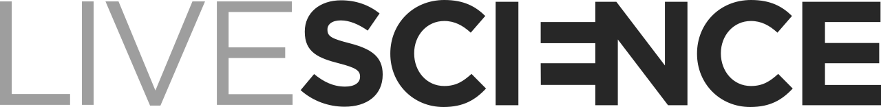 Active vs. Passive Treatment: What You Need to Consider