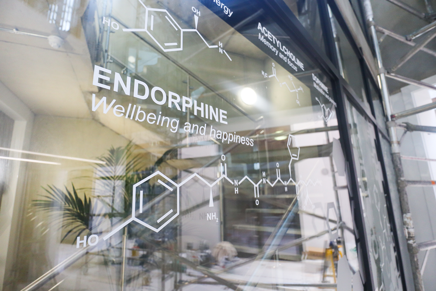 Science Window Graphic