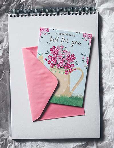 Shoebox Project for Schools: Students