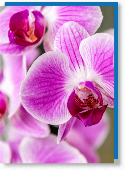 MH Logistics Cold Chain Management | Precision in Perishable Logistics