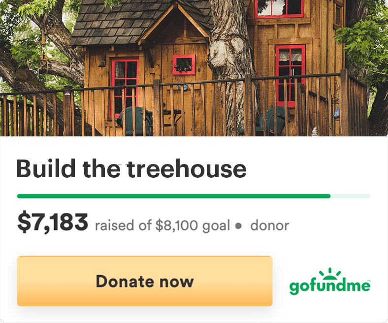 GoFundMe Embed for your bio link · solo.to