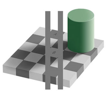 Social Media and the Brain