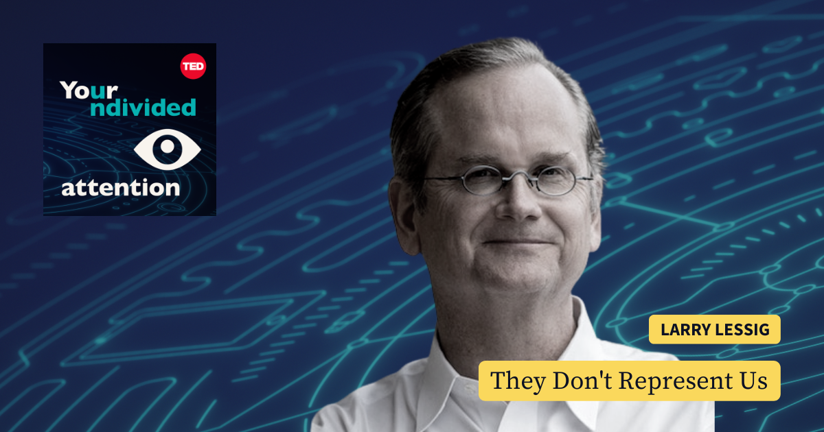They Don't Represent Us with Larry Lessig