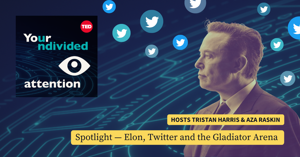 Elon, Twitter and the Gladiator Arena