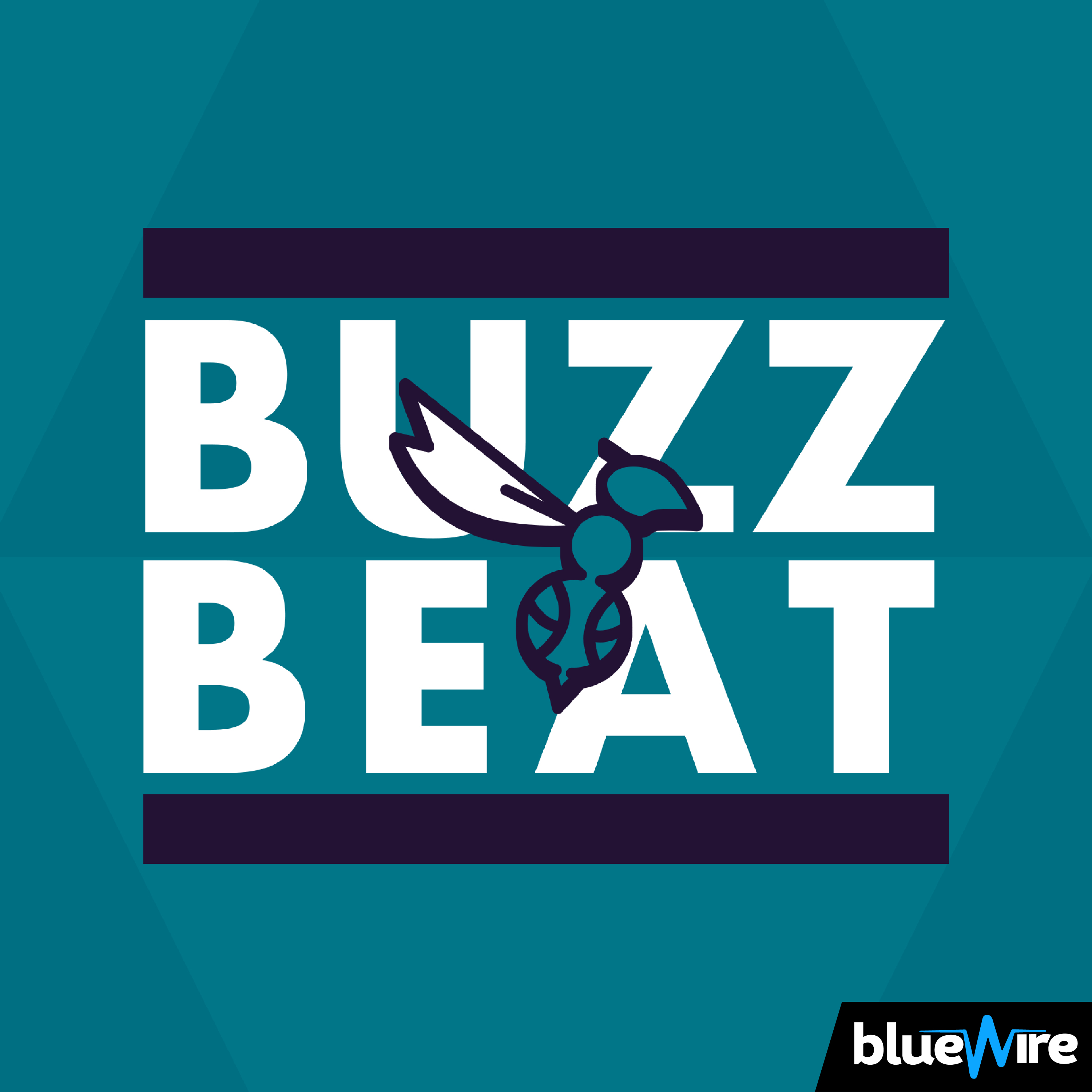 Buzz Beat: A Charlotte Hornets Pod | Blue Wire Podcasts