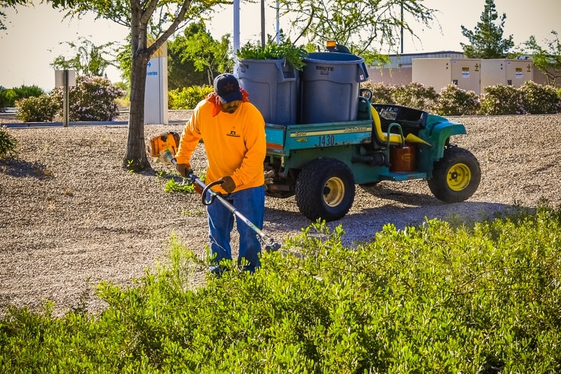 Landscape Maintenance