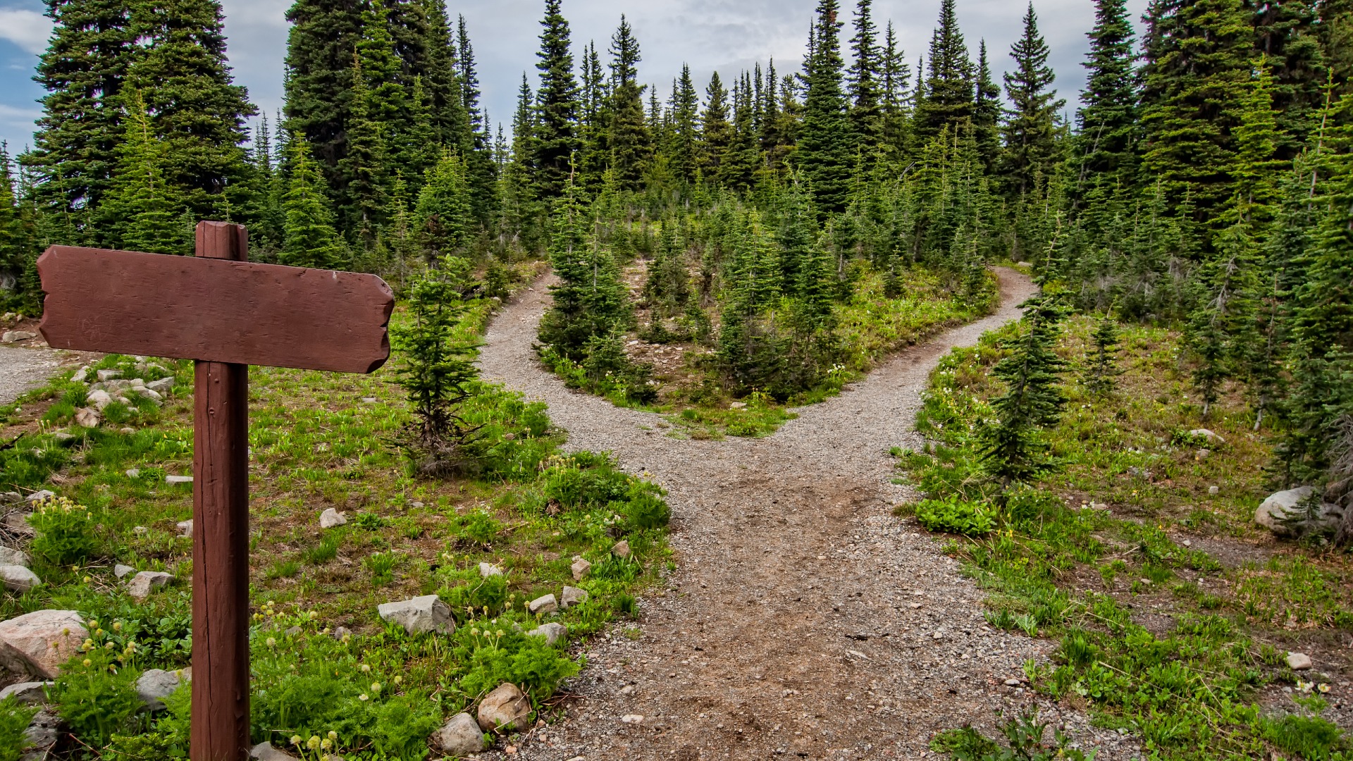 How Do Prescription Drugs Affect You and Your Body?