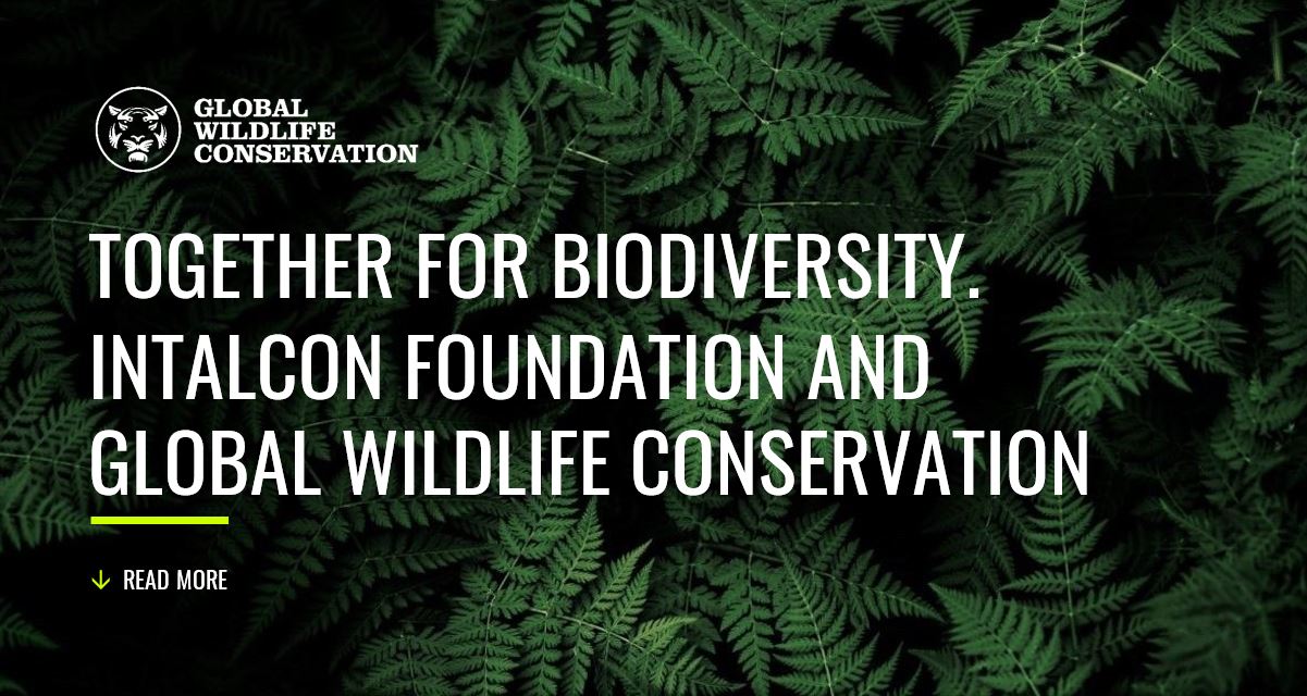 Together for biodiversity. Intalcon Foundation & Global Wildlife ...