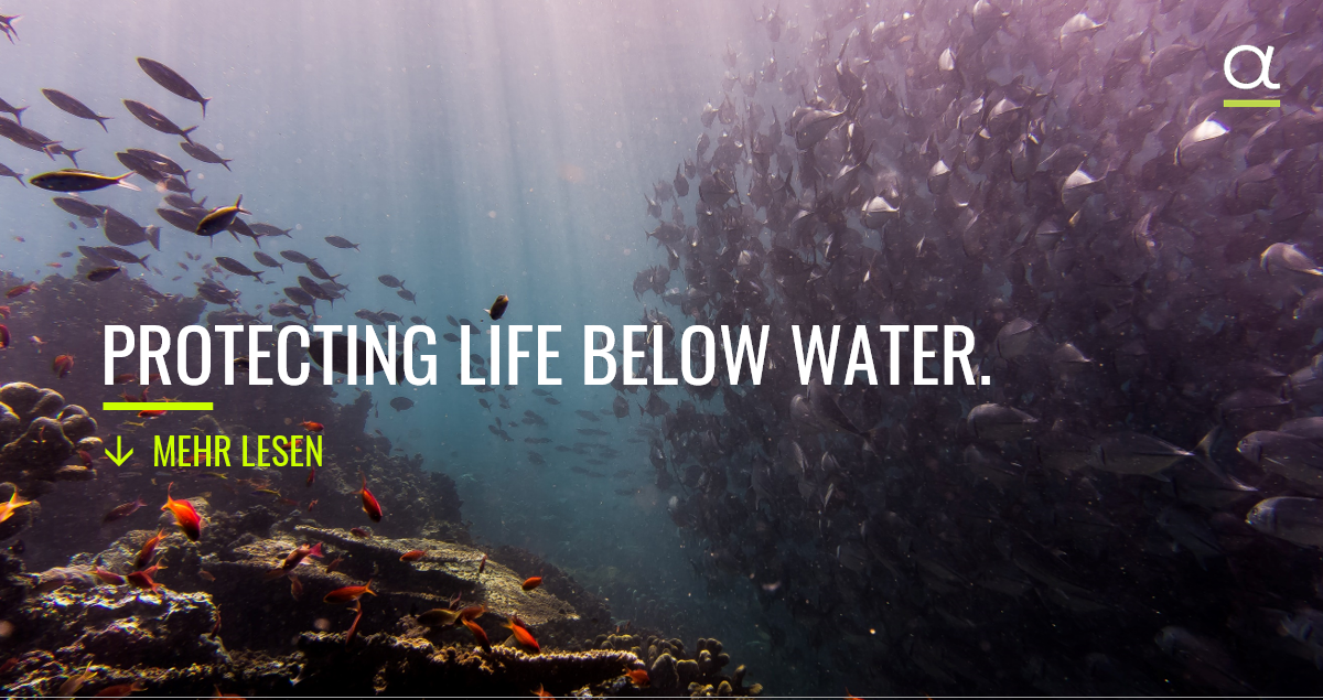 Why is it so important to protect the life below the water? | Intalcon