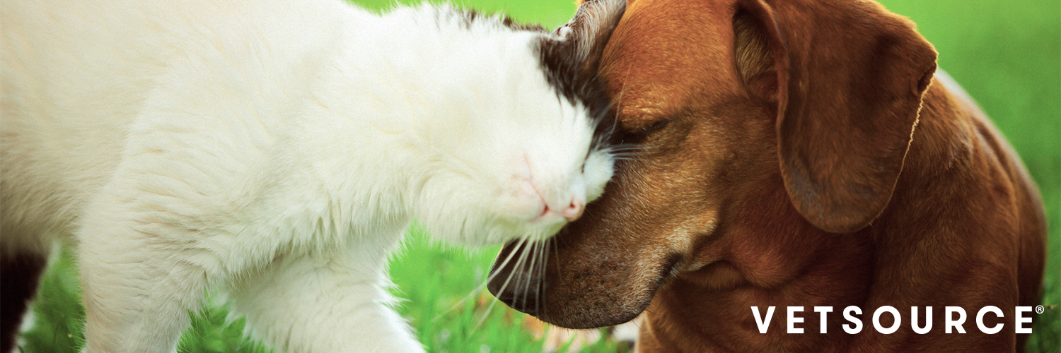 Vetsource | The Silicon Forest