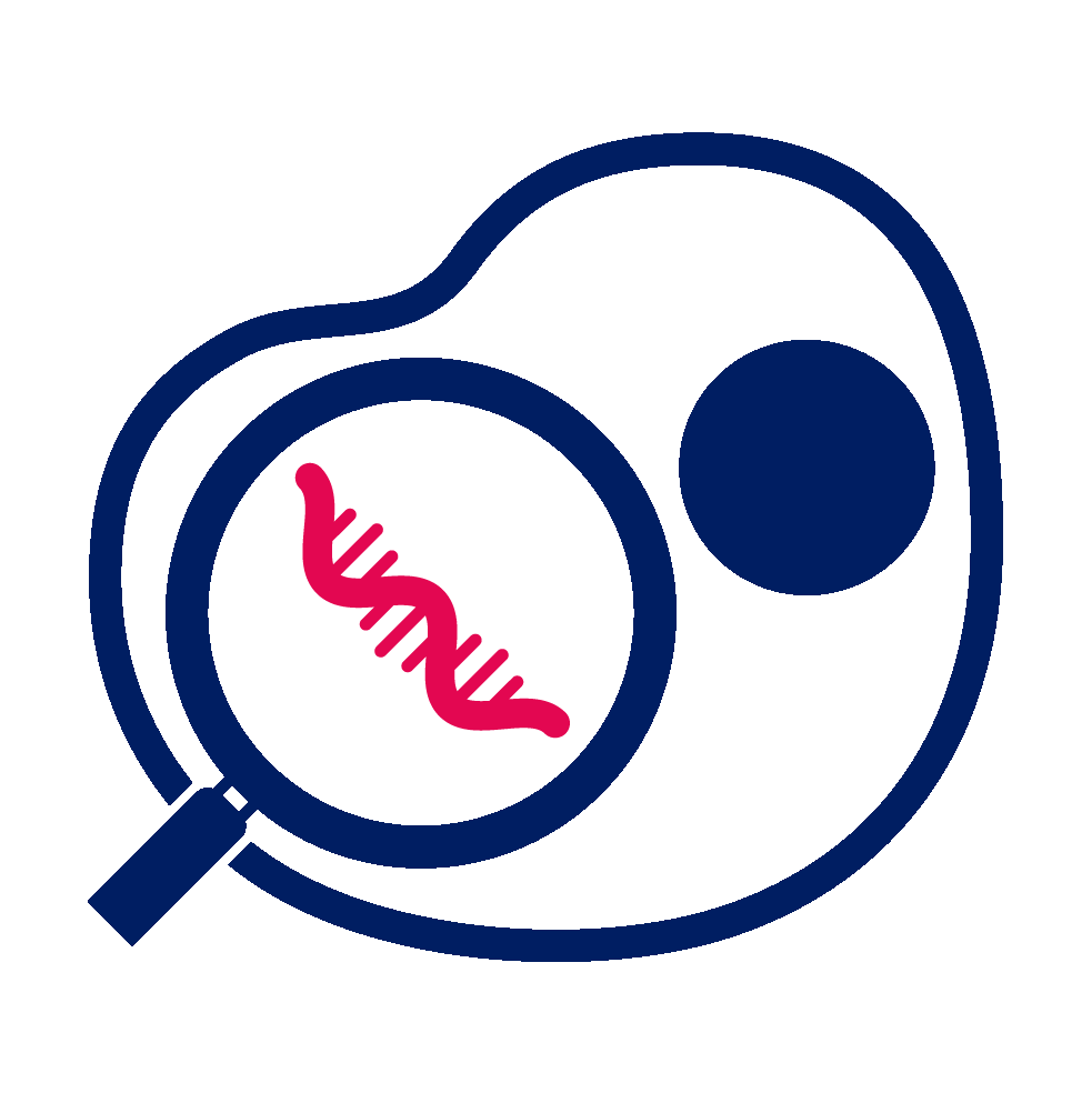 Single Cell Sequencing | Macrogen Europe