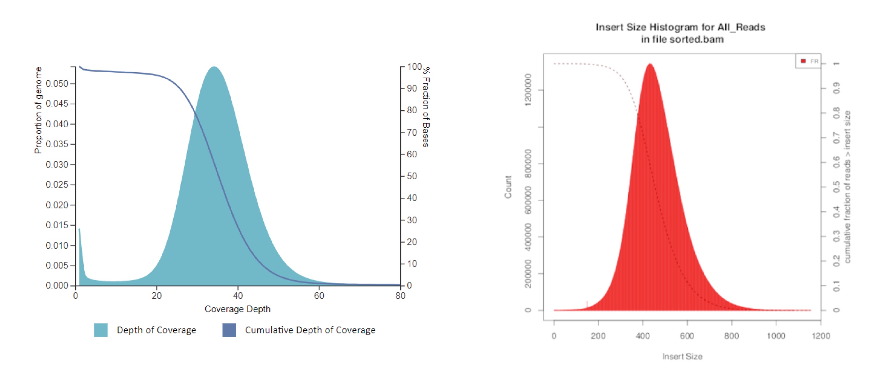 Whole Genome Sequencing | Macrogen Europe