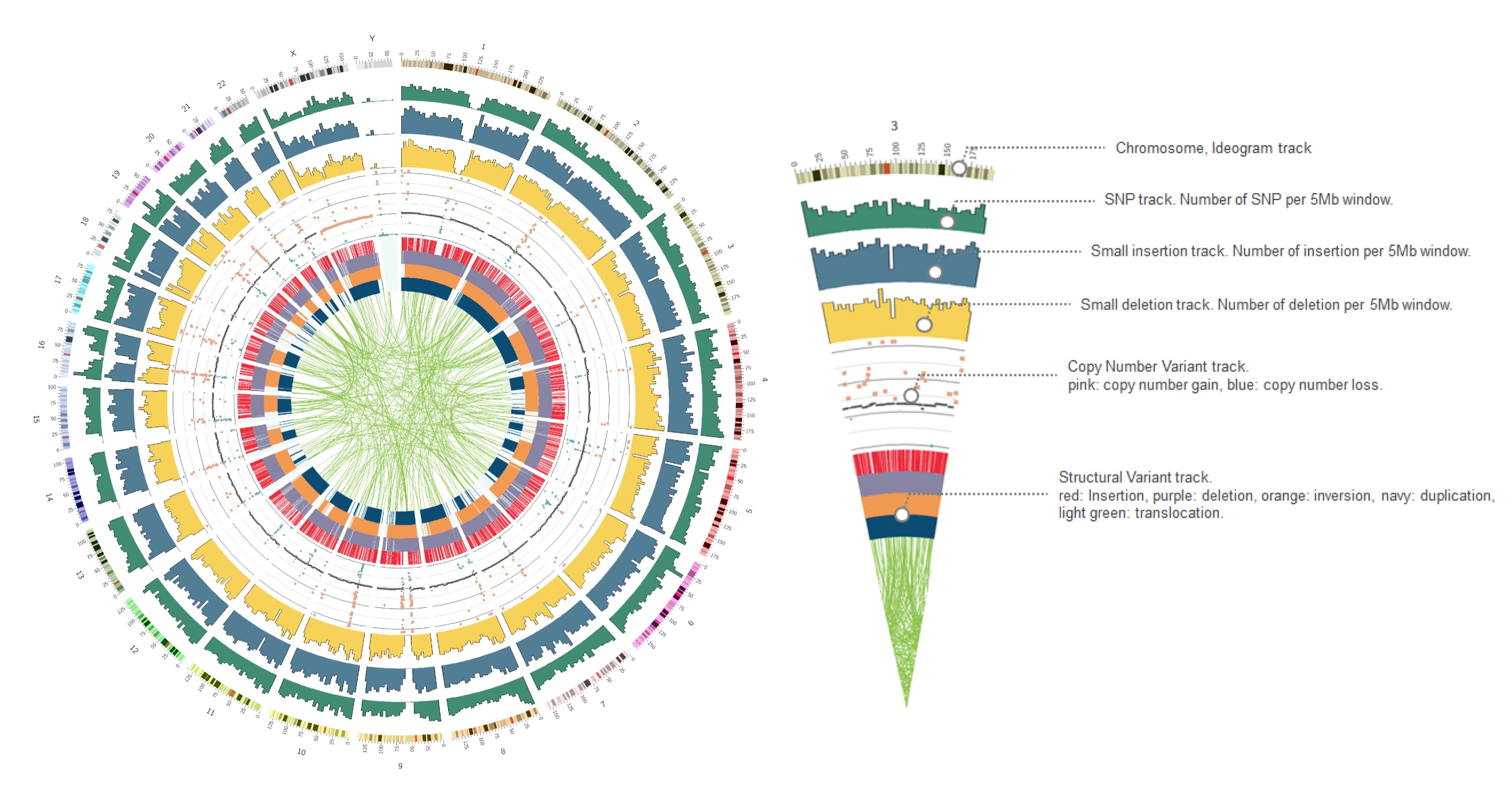 Whole Genome Sequencing | Macrogen Europe