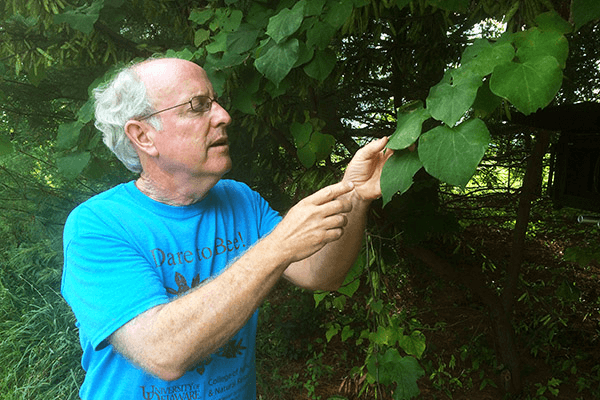 Pollinator Friendly Nursery