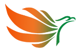 Renewable Energy