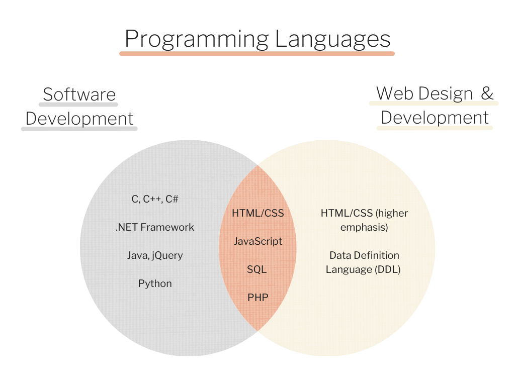ABM College: Software Development vs Web Development: What's The ...