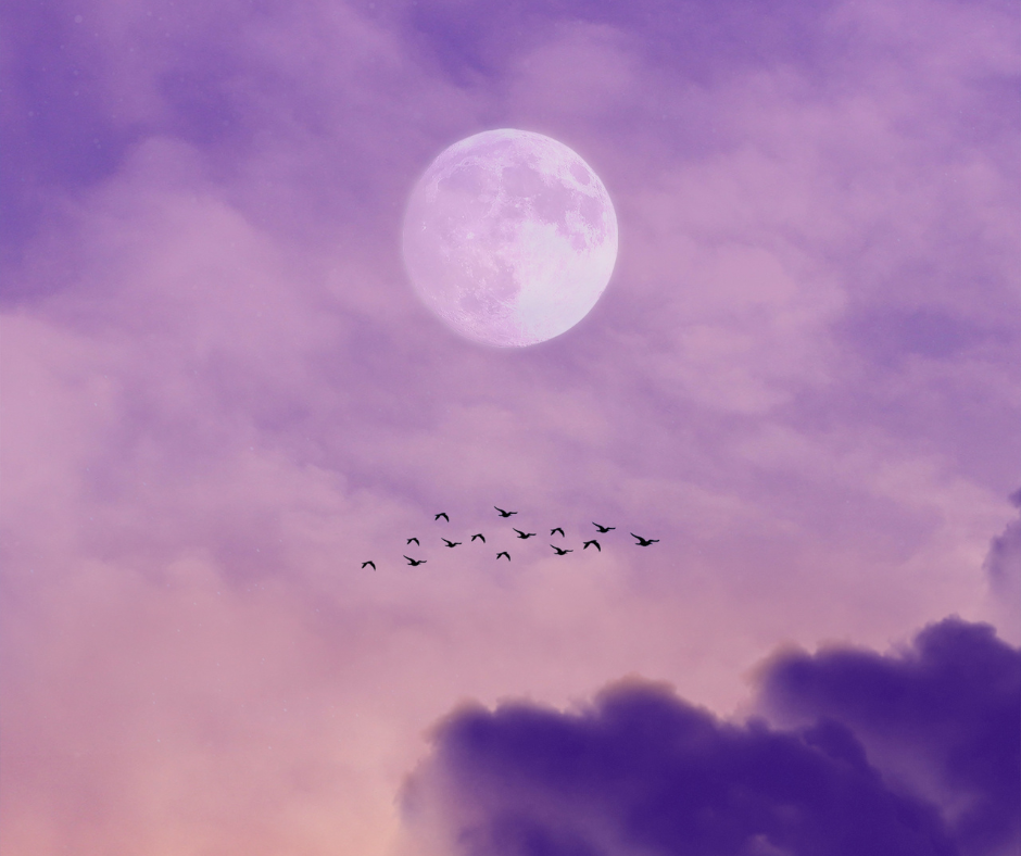The Flower Full Moon: Rituals for the Lunar Eclipse in Scorpio