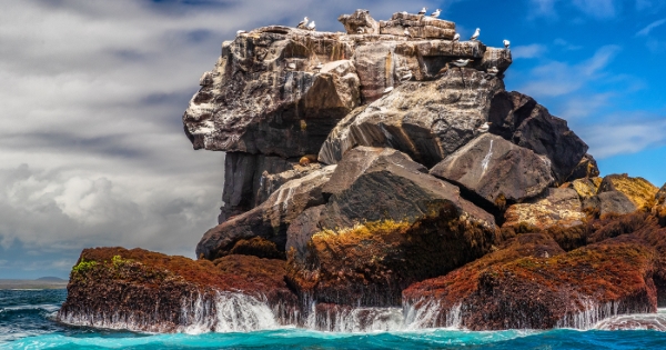 CruisePlus Travel - Cruise Deals, Resorts & More!