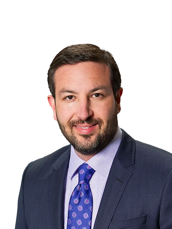 "Strategic Considerations for International Patent Filings: Exploring ...