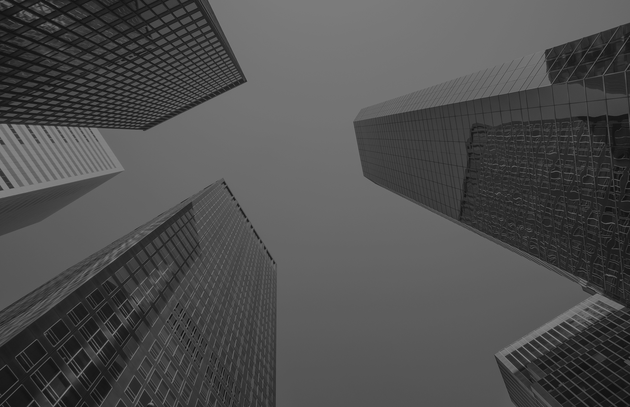 Seed IP's Toshiko Takenaka, Ph.D., speaks at Women in Licensing Alliance (WILA) event ...