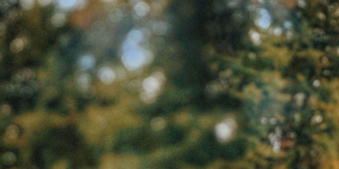 Treecard - The wooden debit card that plants trees.