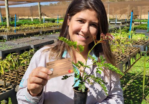 Treecard - The wooden debit card that plants trees.
