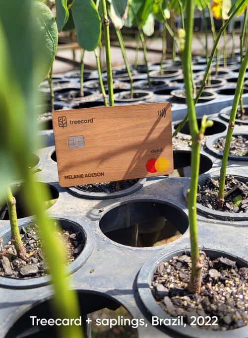 Treecard - The wooden debit card that plants trees.