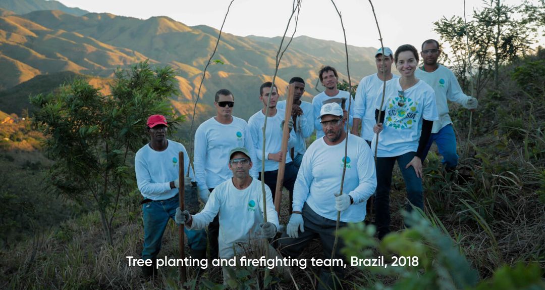 Treecard - The wooden debit card that plants trees.