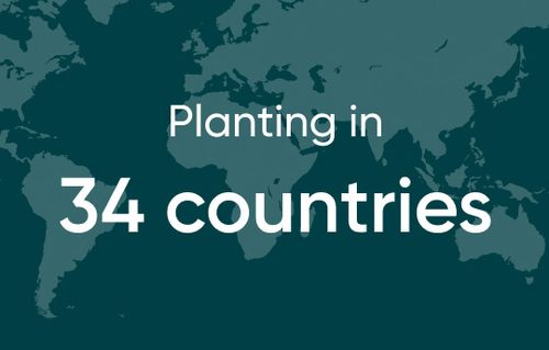 Treecard - The wooden debit card that plants trees.