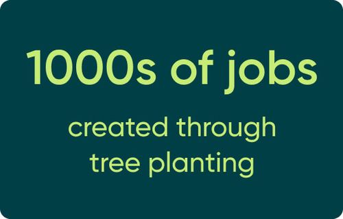 Treecard - The wooden debit card that plants trees.