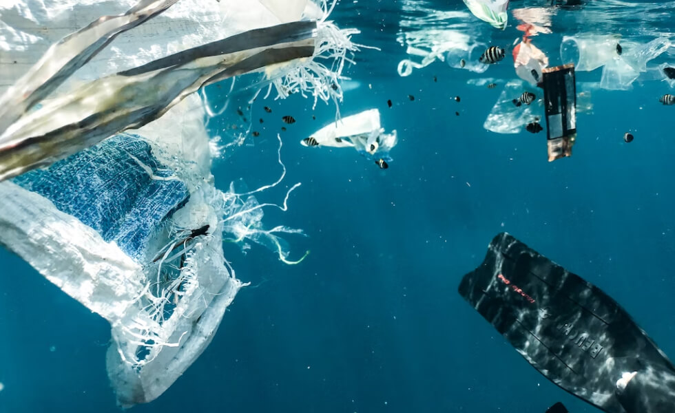 Protect 30 Of The Ocean By 2030 Tell Our Leaders This Must Be Done