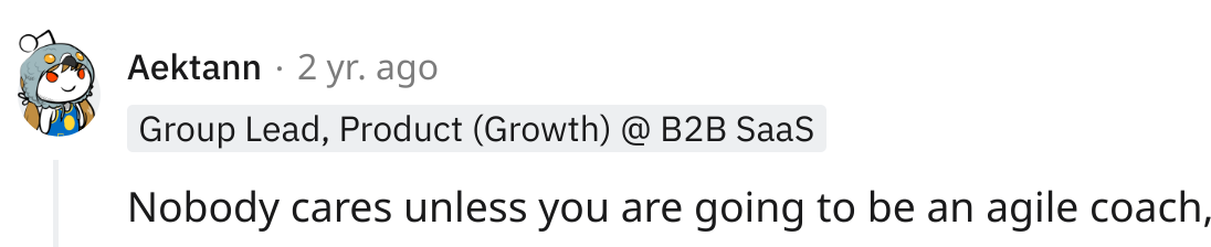 Product Owner: Career Path and Progression