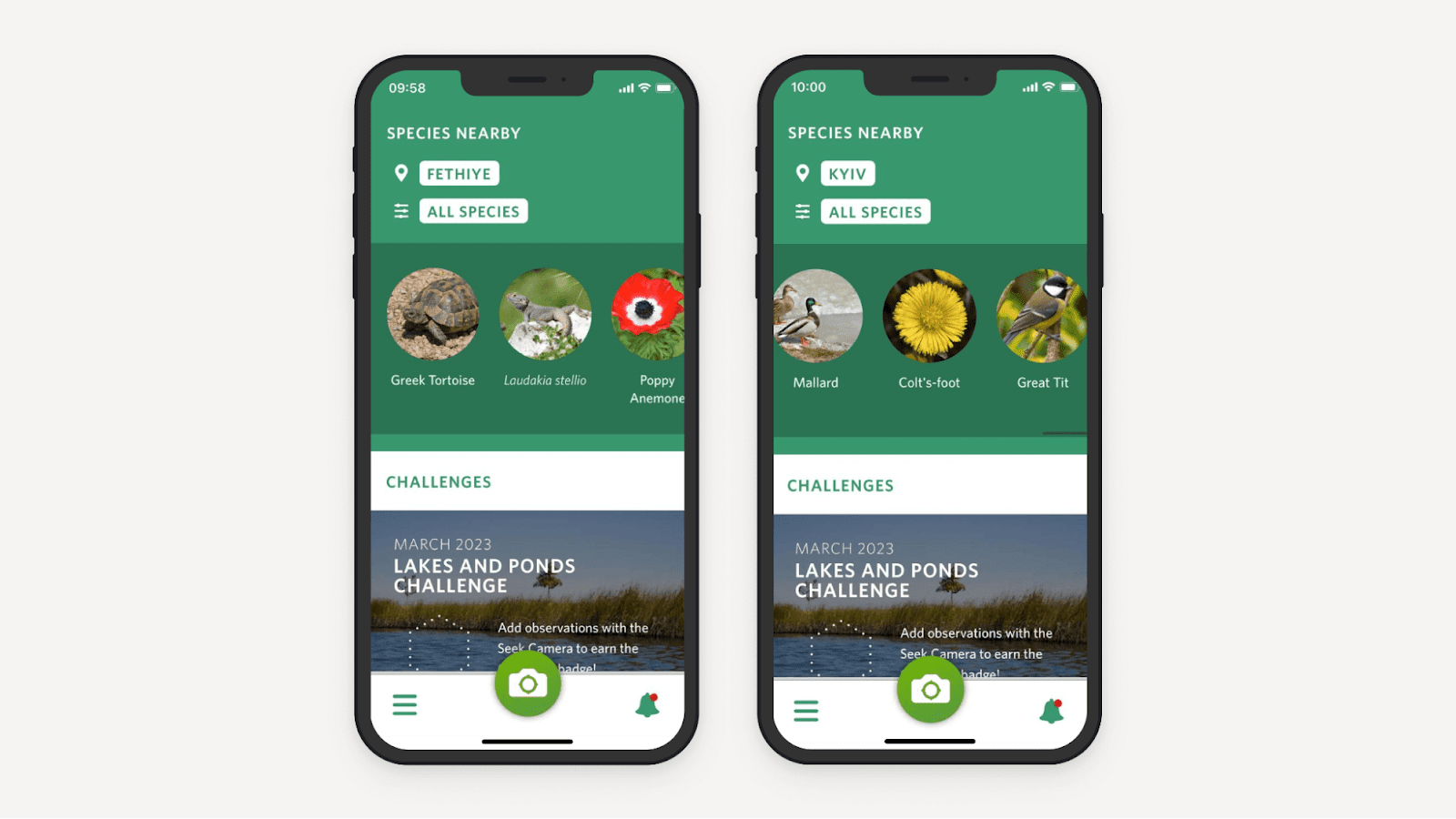 Design for Personalization. How to Nail Personalized User Experience