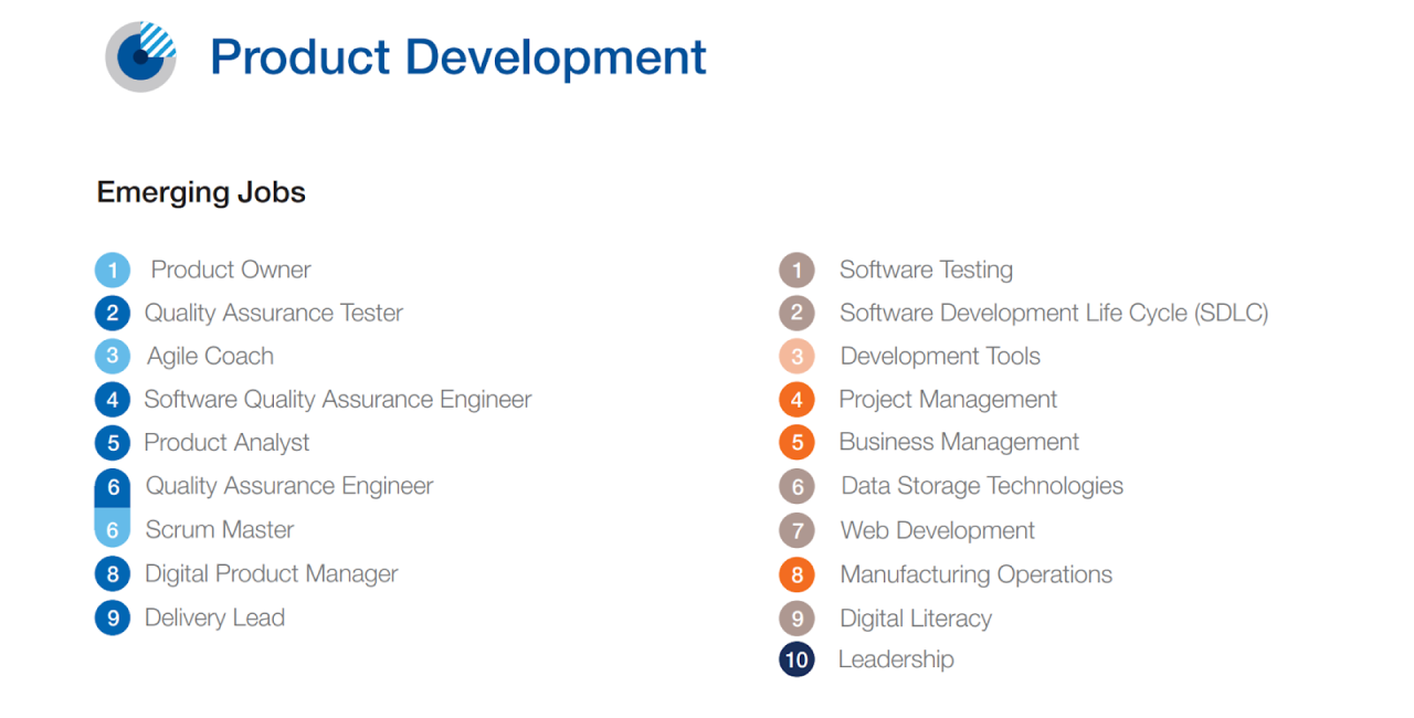 Product Owner: Career Path and Progression