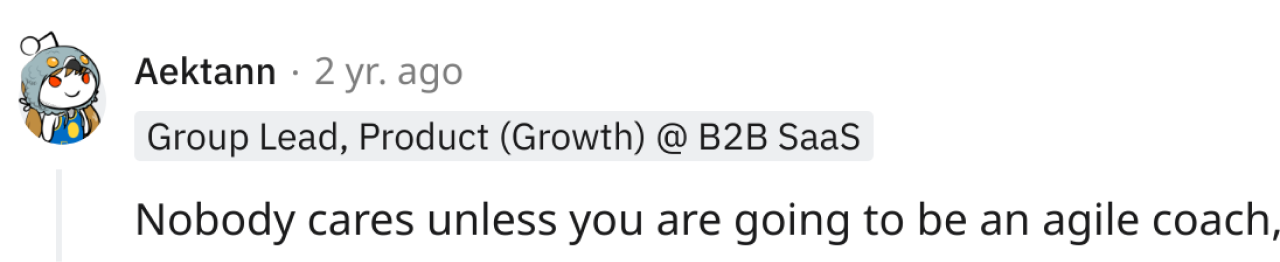 Product Owner: Career Path and Progression